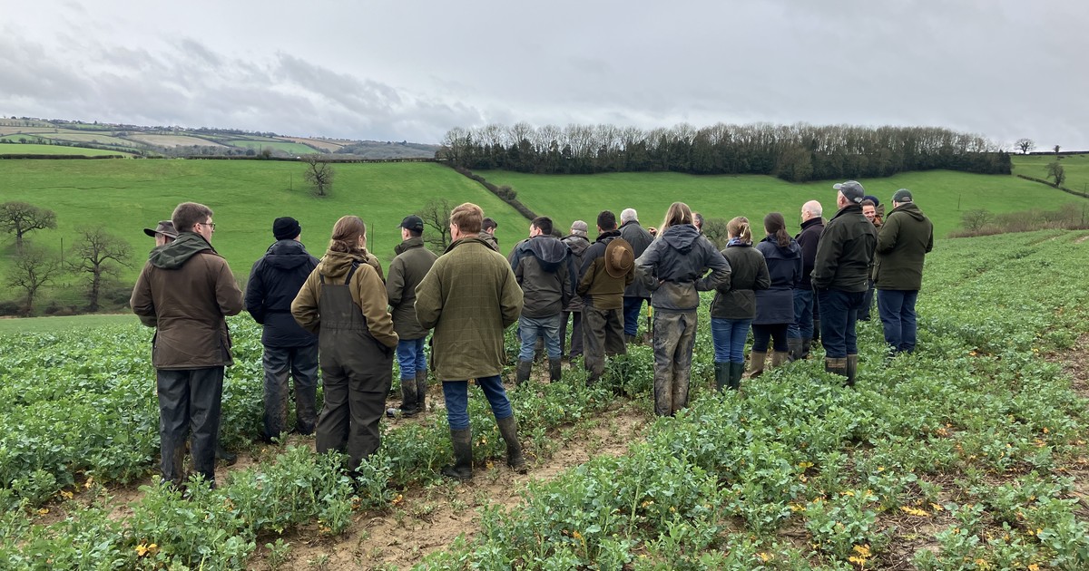 Community spotlight: Focus Farm Update | Duchy of Cornwall